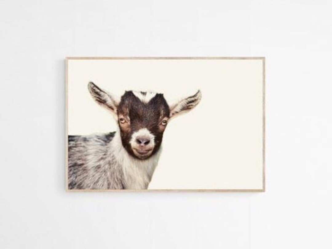 Goat Printable, Animal Goat Photography Wall Art Printable, Minimal ...