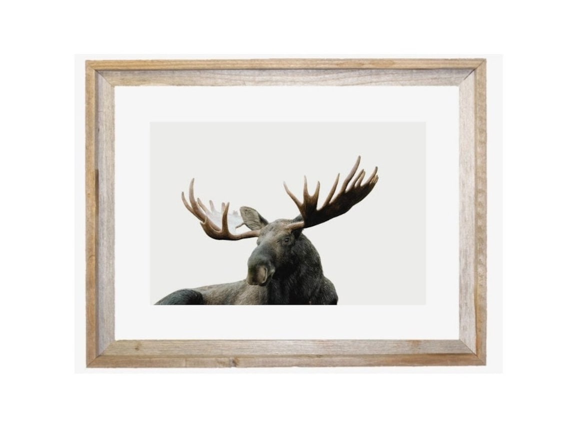 Moose Printable, Moose Photography Wall Art Printable, Minimal Nature ...