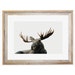 Moose Printable, Moose Photography Wall Art Printable, Minimal Nature ...