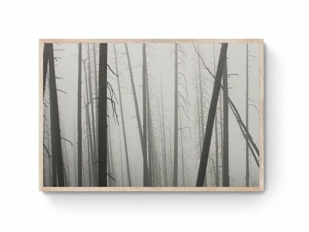 Sparse Forest Photography Print: Minimalist Tree Poster (digital ...