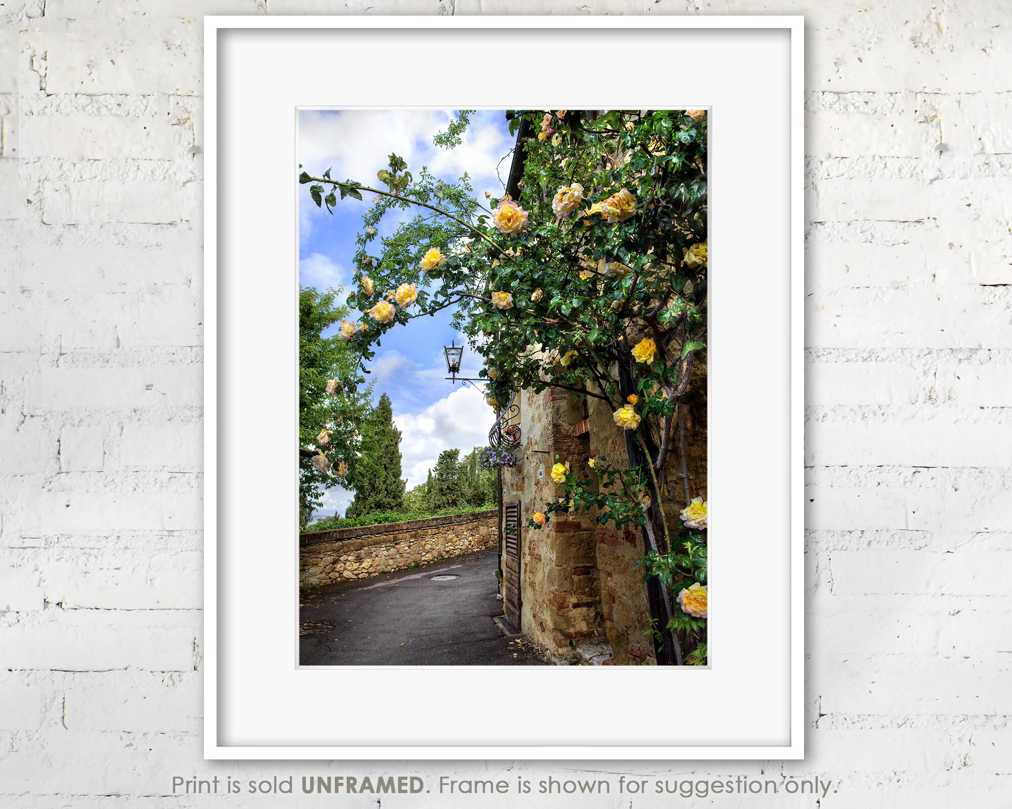 Tuscany Fine Art Photo Print "tuscan Roses", Italy Wall Art and Decor ...