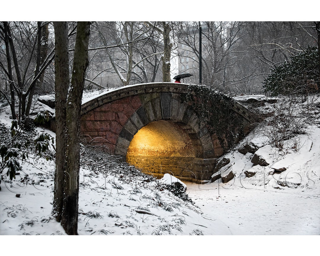 Inscope Bridge Winter Print Central Park Photography New - Etsy