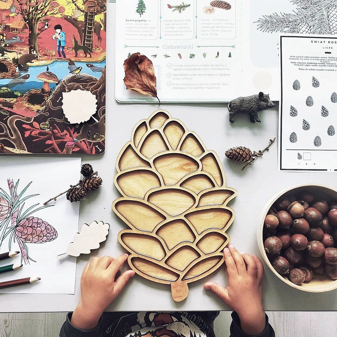 Cone Sensors Tray Board Sensors Montessori Wooden Toy Tinker Tray - Etsy