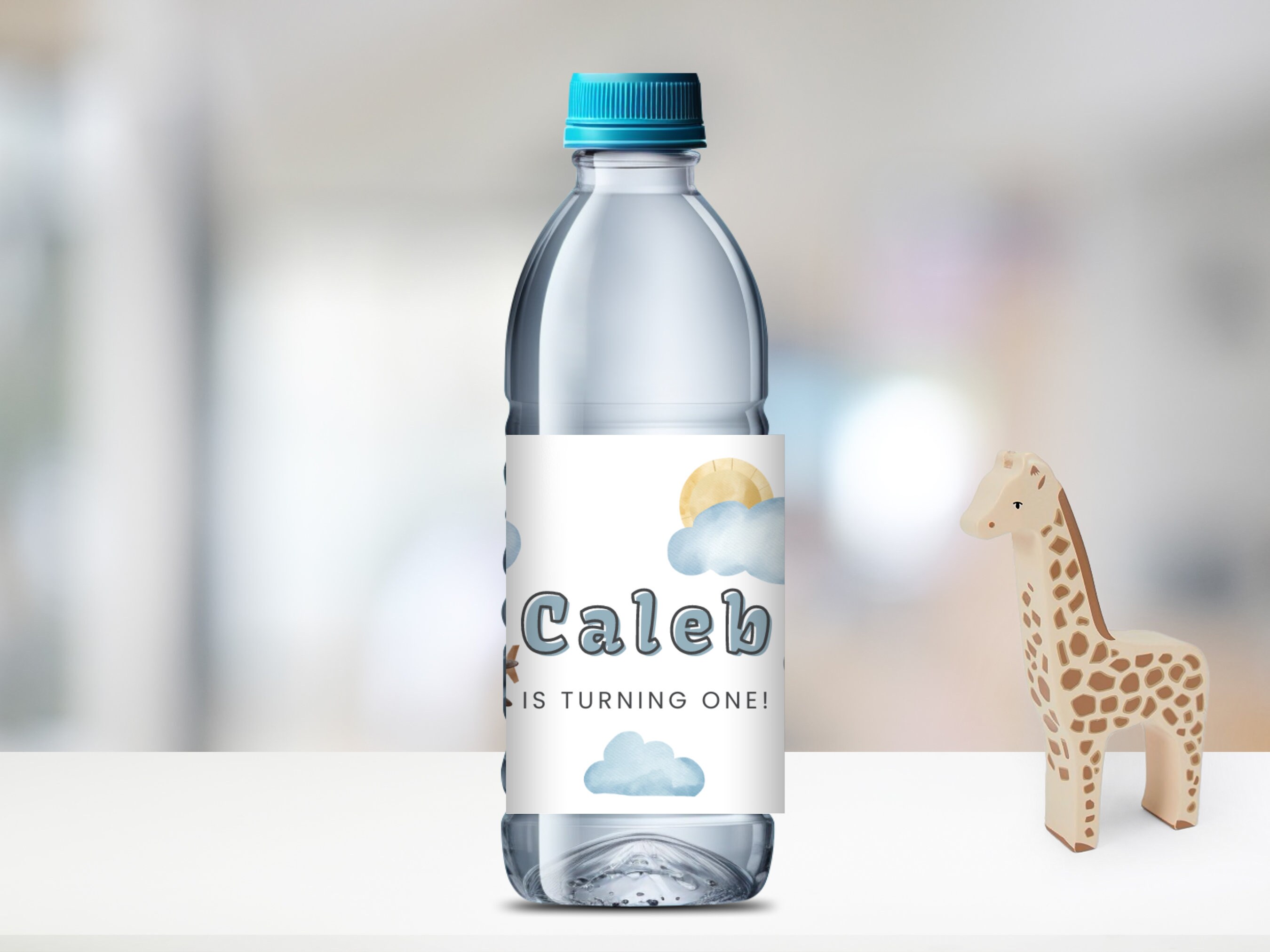 Airplane Birthday Water Bottle Label: Editable Aviation Party (digital ...