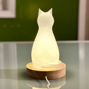 A Peaceful Cat - Handmade Lamp / Light - Free Shipping! - White Cat ...