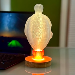 Japanese Soy Sauce Fish Bottle Lamp - LED Light - Free Shipping ...