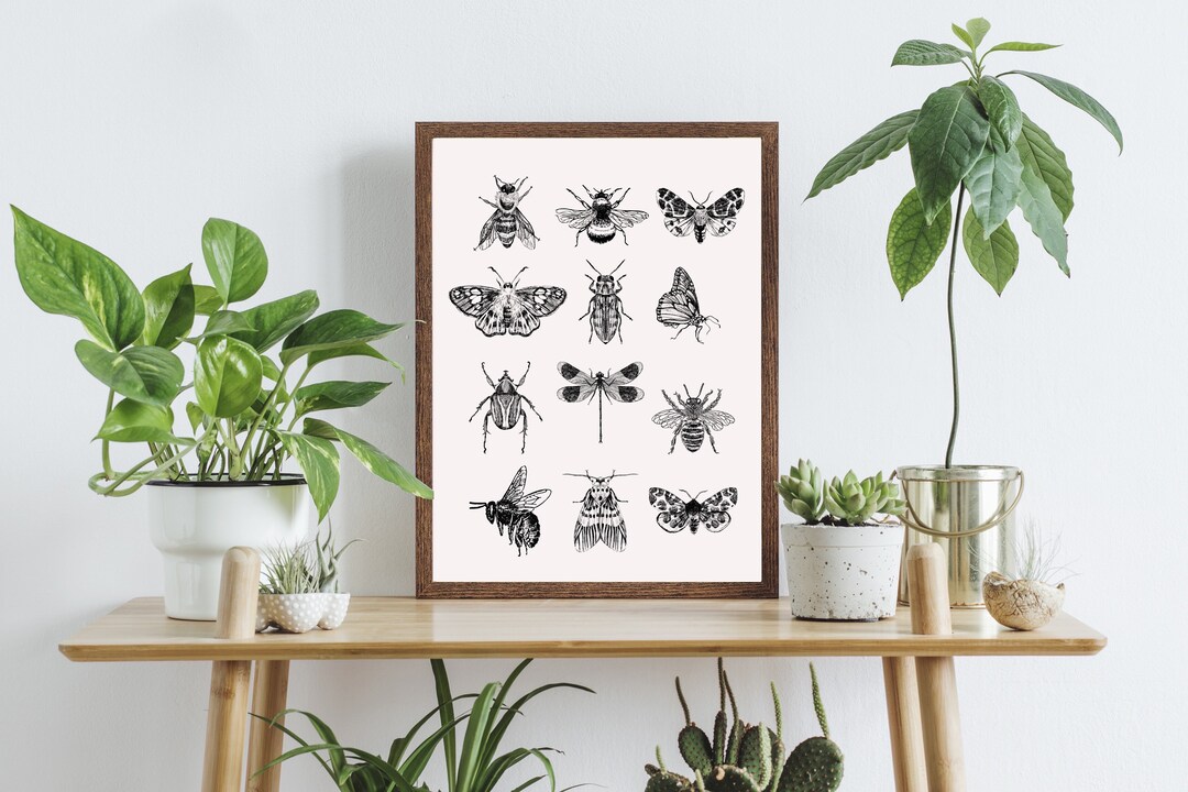 Insects Wall Print, Digital Download Print, Wall Decor, Large Printable ...