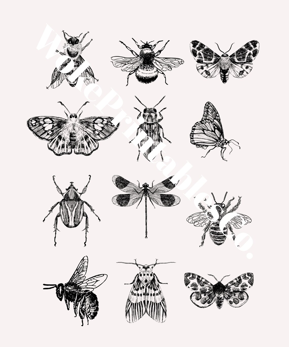Insects Wall Print, Digital Download Print, Wall Decor, Large Printable ...