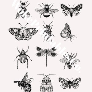 Insects Wall Print, Digital Download Print, Wall Decor, Large Printable ...