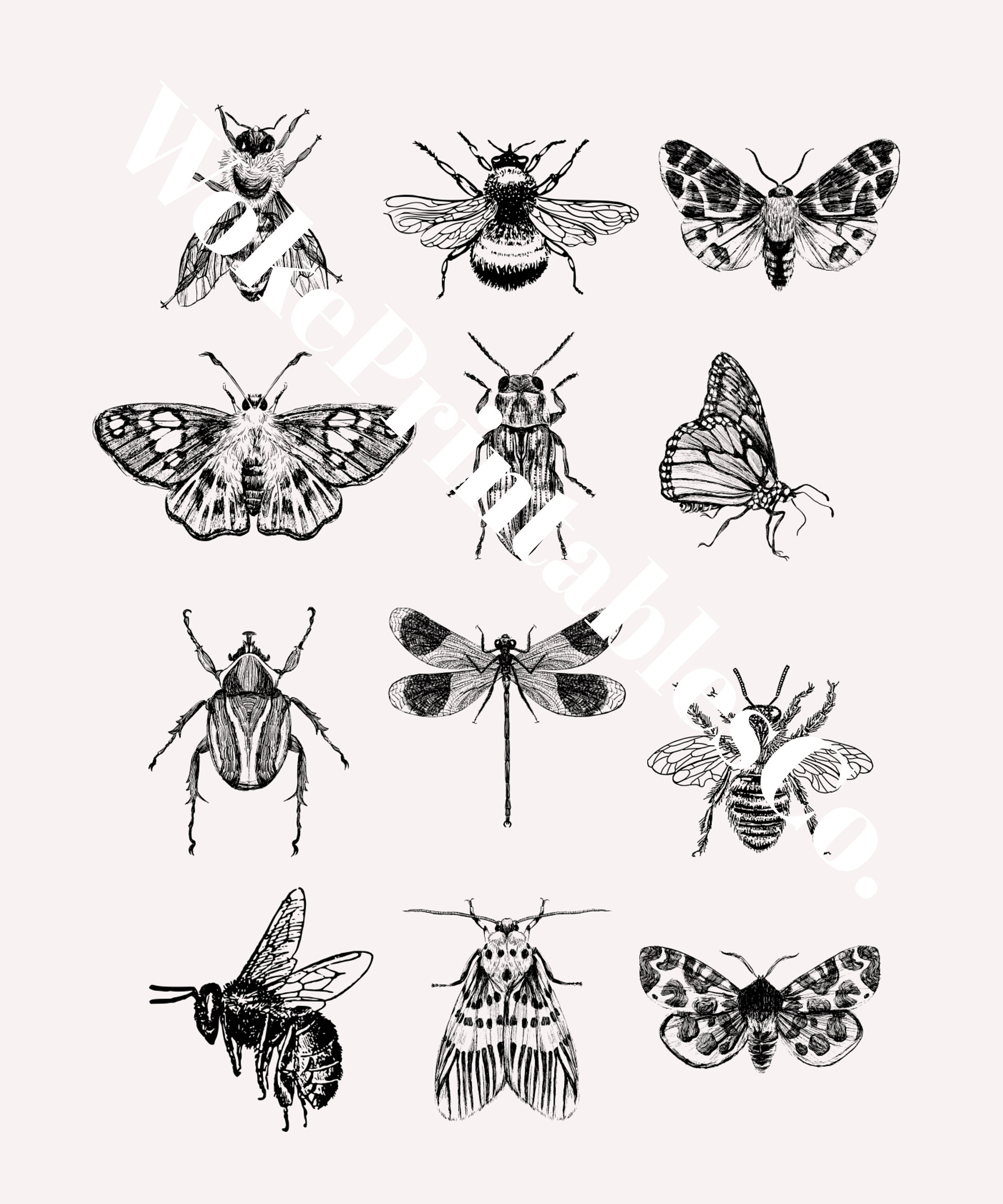 Insects Wall Print, Digital Download Print, Wall Decor, Large Printable ...