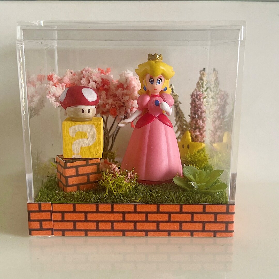 Mario Terrarium, Handmade Super Mario Diorama, Princess Peach Shadow ...