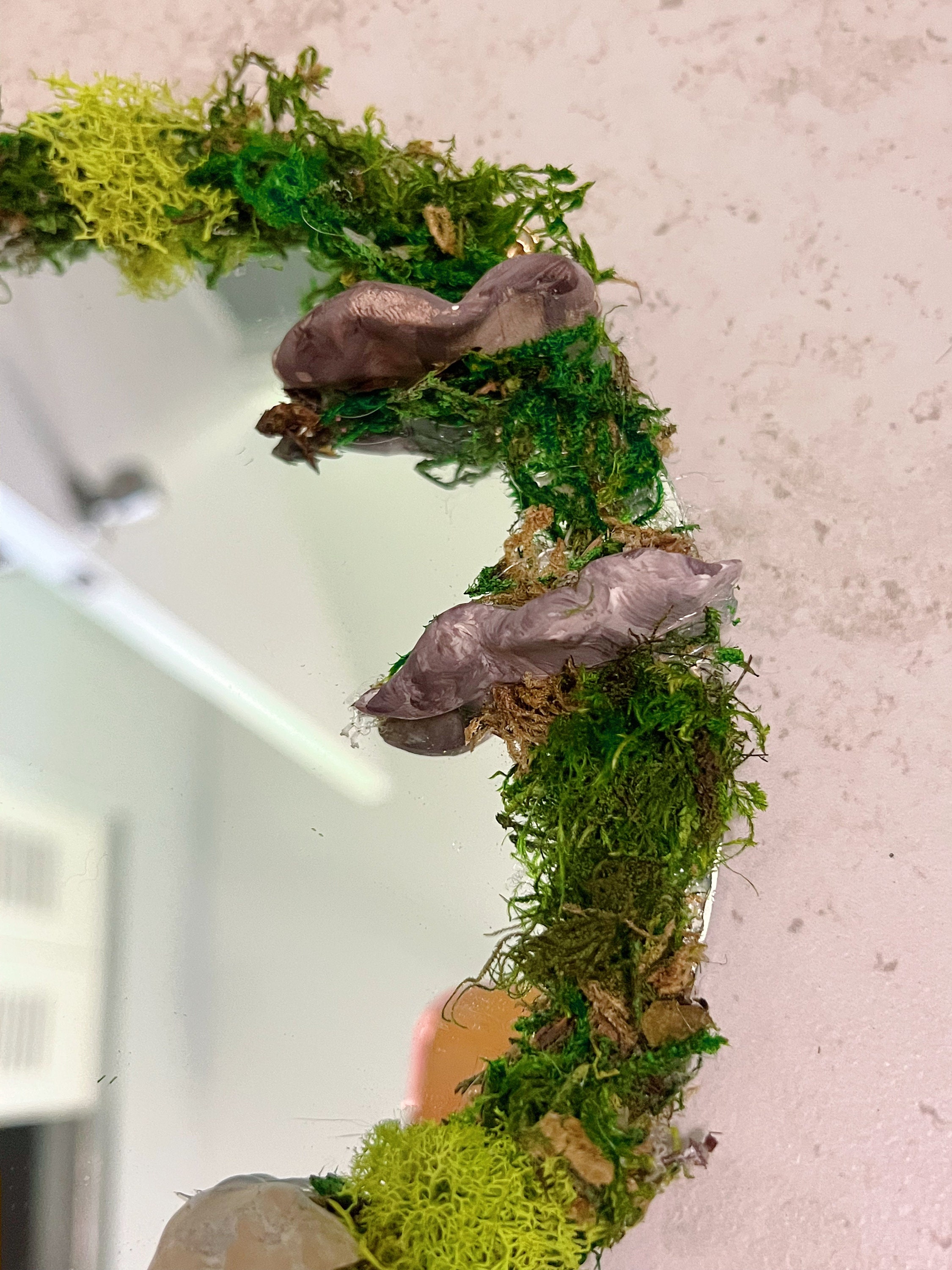 Magical Fairy Moss Mushroom Mirror Fairy Garden Mirror - Etsy