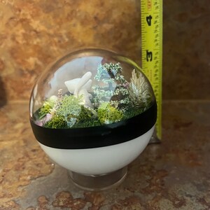 Pokémon Ball Terrarium, Handmade Miniature Pokeball Diorama, Poke Ball ...