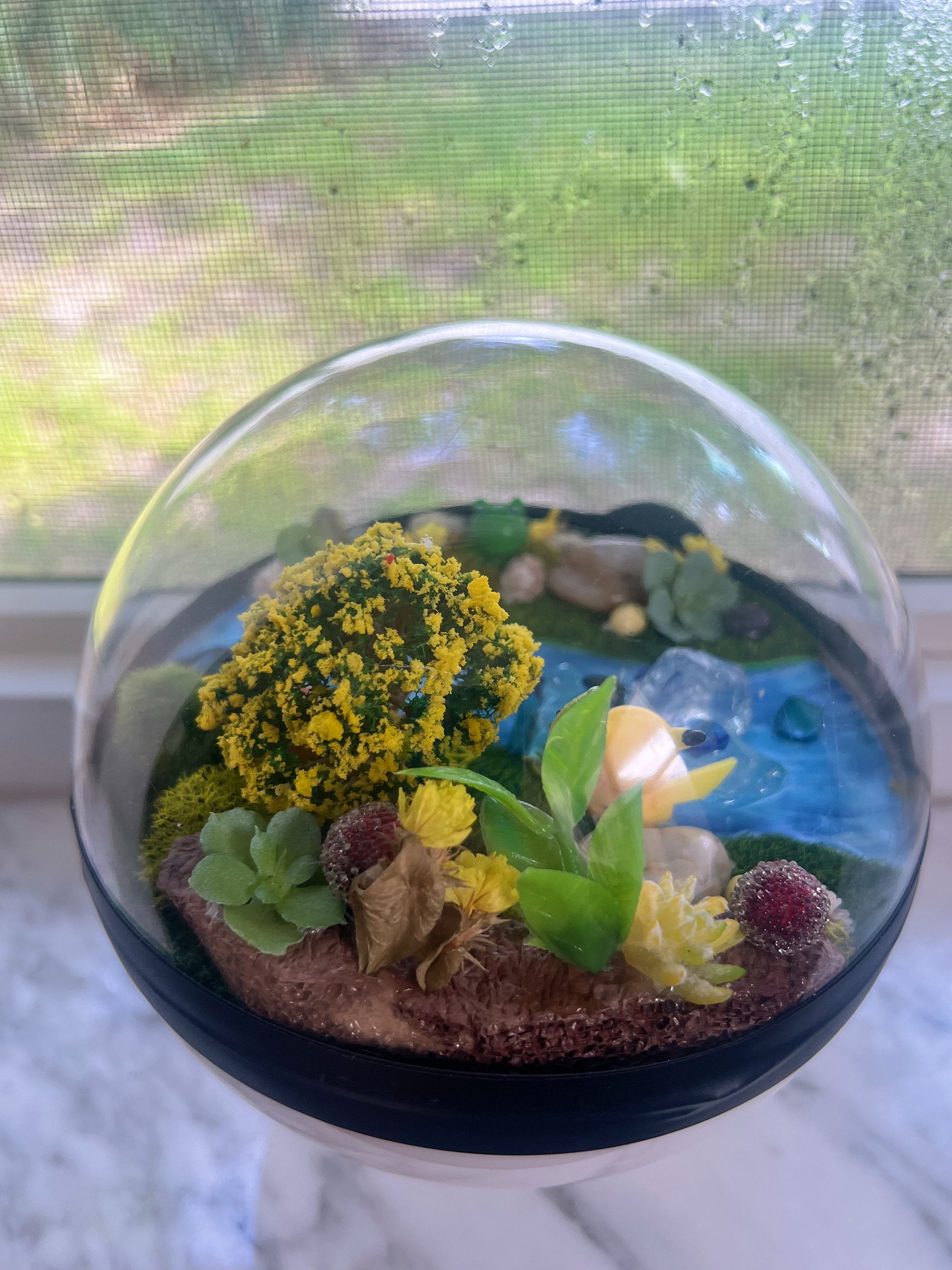 Pokémon Ball Terrarium, Handmade Pokeball Diorama, Poke Ball Shadow Box ...