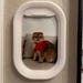 Airplane Window Picture Frame - Etsy