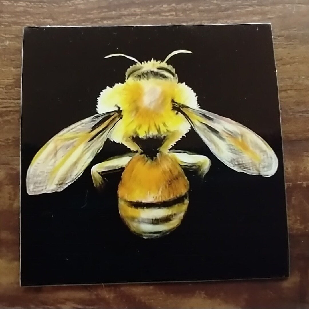 Glossy Vinyl Bee Sticker, Original Art, Waterproof, Gloss Finish, Water ...