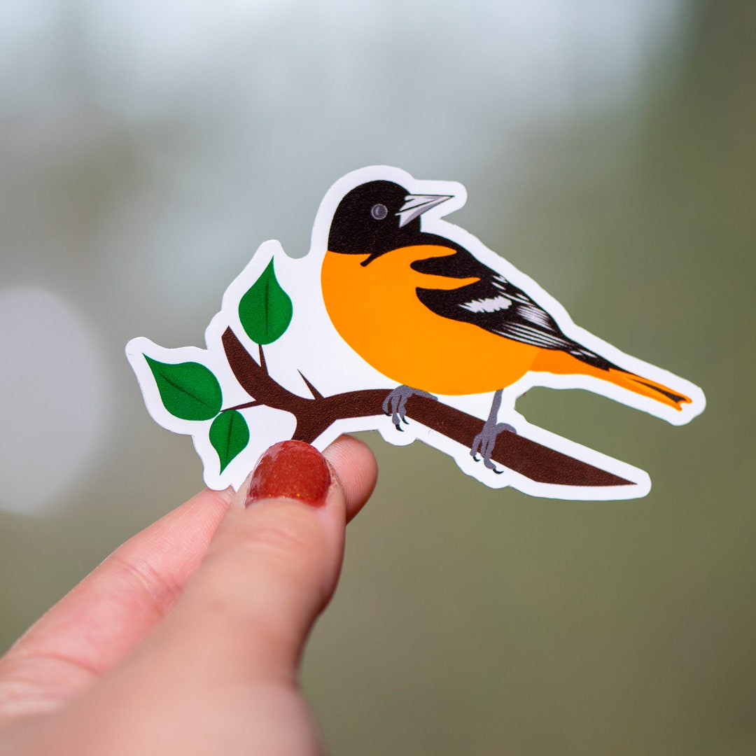 Bird Stickers for Water Bottle, Gift for Bird Watcher, Bird Lover Gift ...