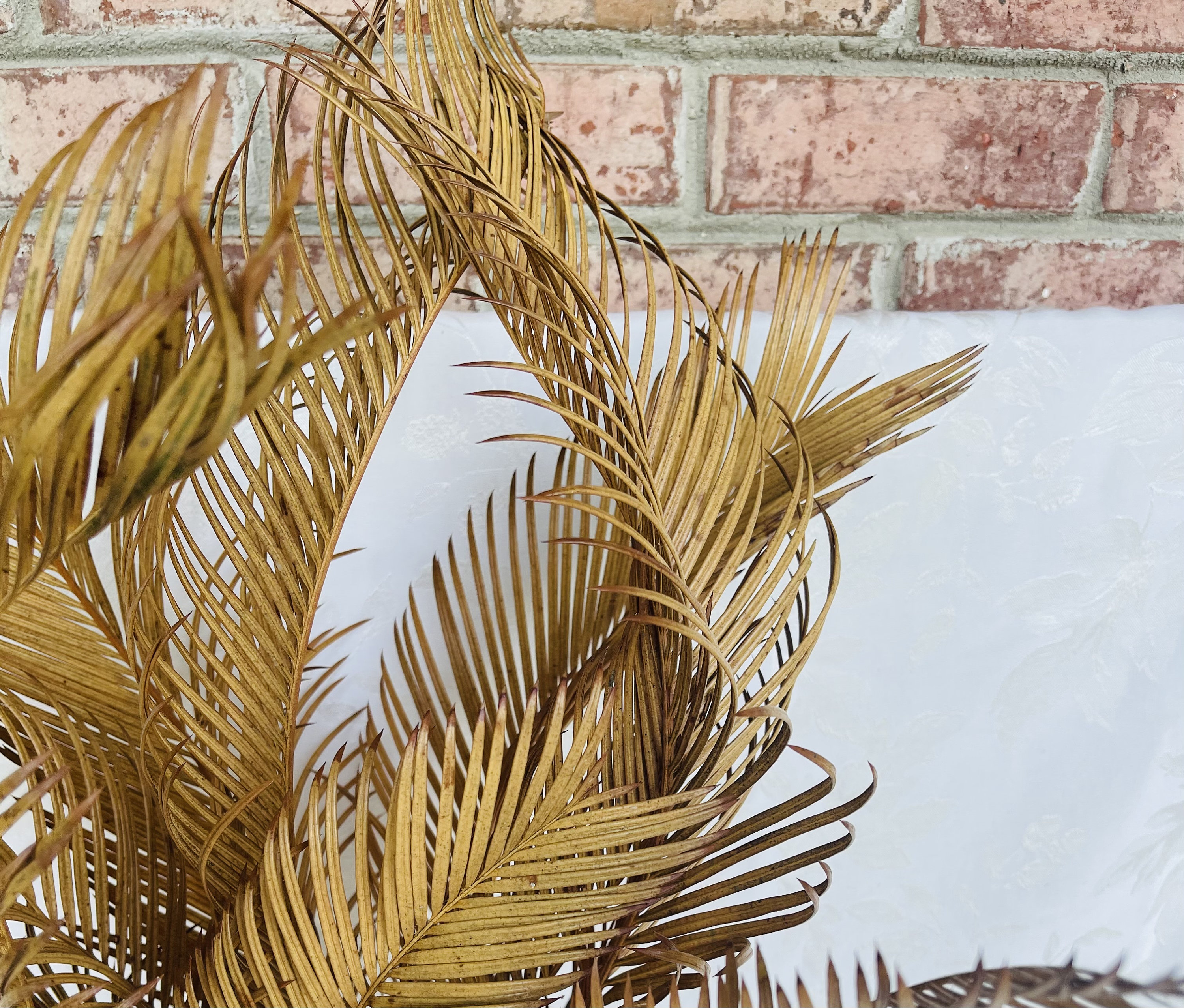 Sago Palm Fronds/ Dried Palm Fronds/ Floral Picks/ Leaves - Etsy