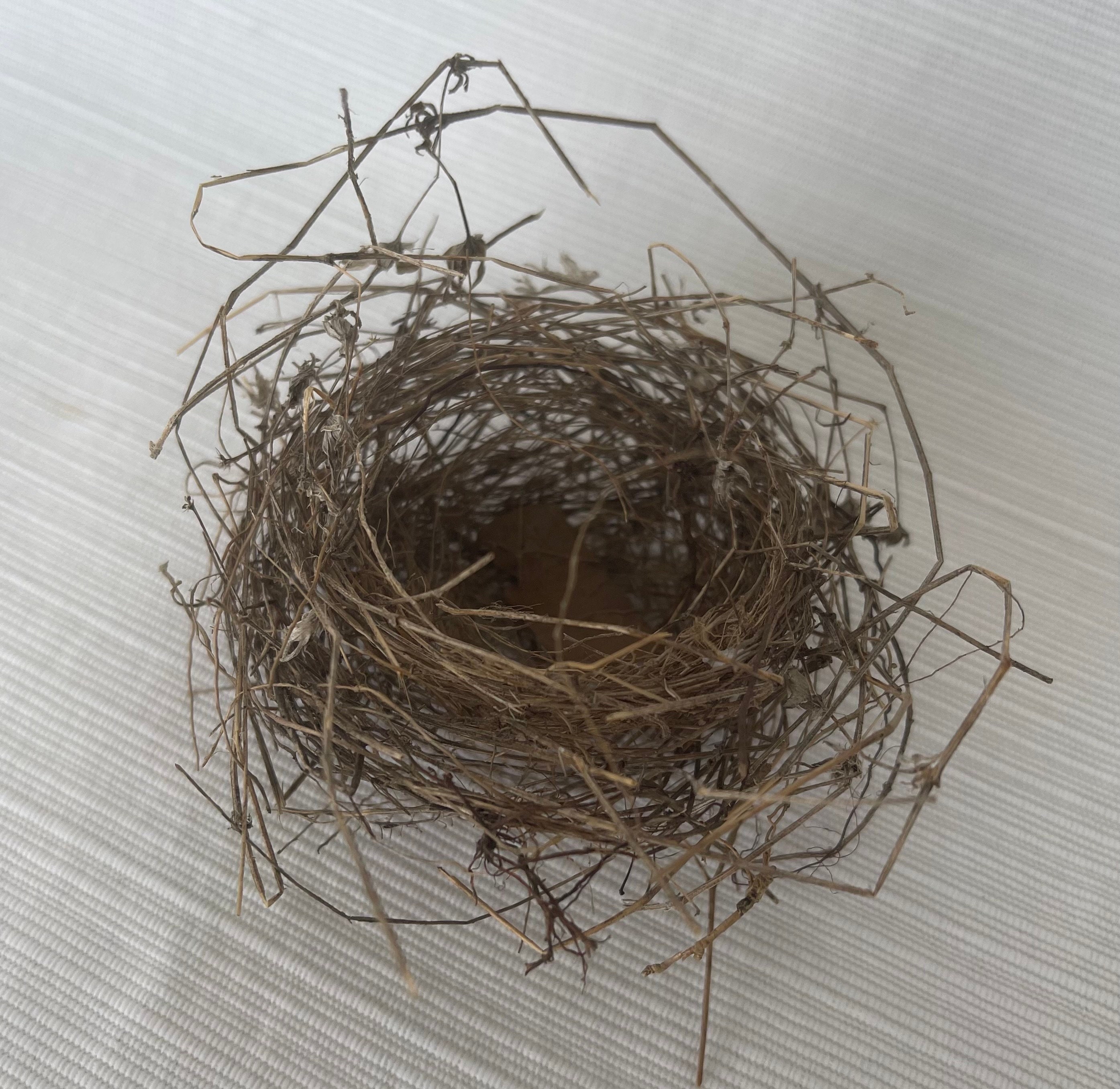 Bird Nest/ Natural Bird Nest/ Straw Bird Nest/ Floral Accents/ Teaching ...