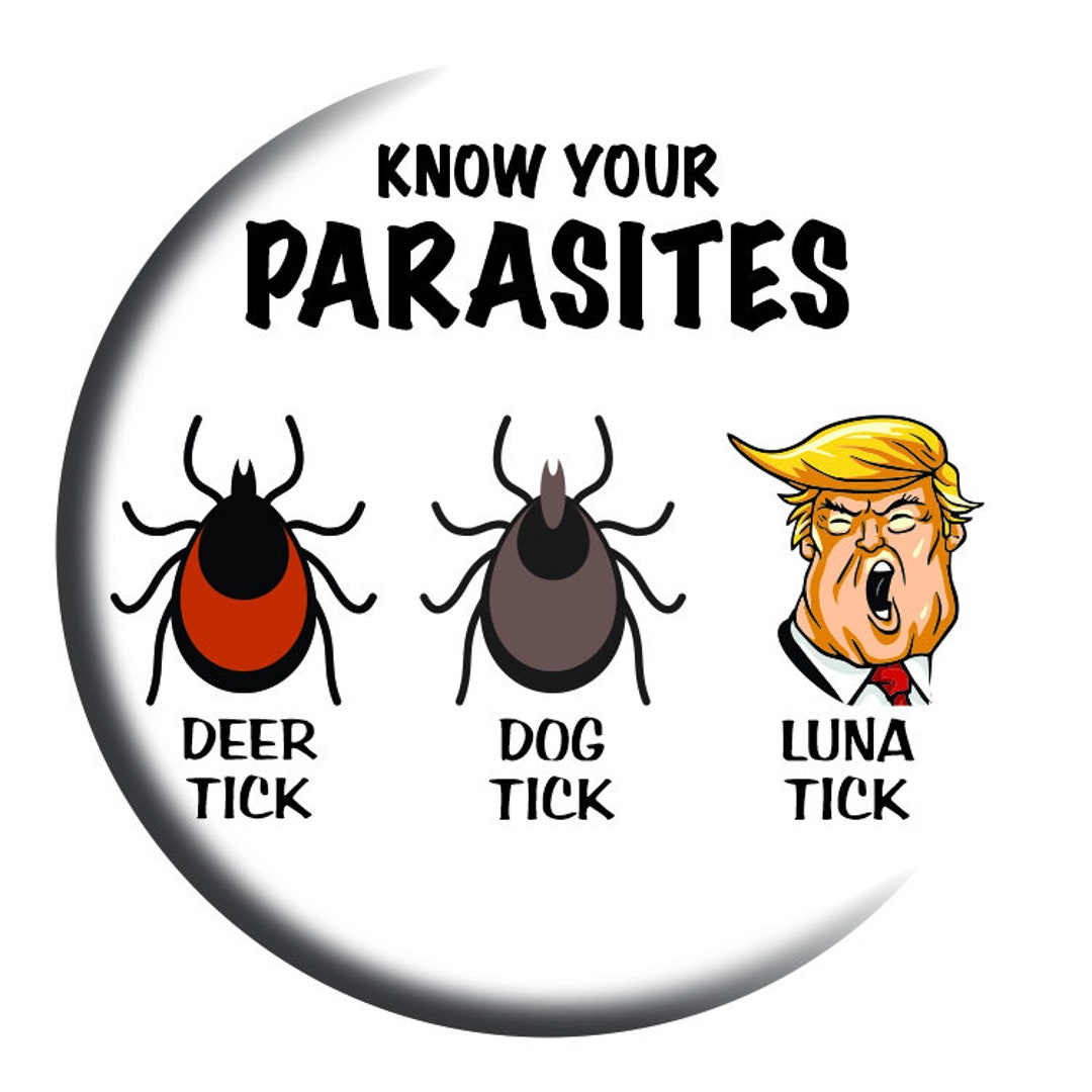 Our "parasite" Pin Back Buttons Are Beautiful WITH Free STICKER - Etsy