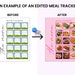 Editable Meal Tracker, Meal Tracker, Meal Organizer, Meal Planner ...