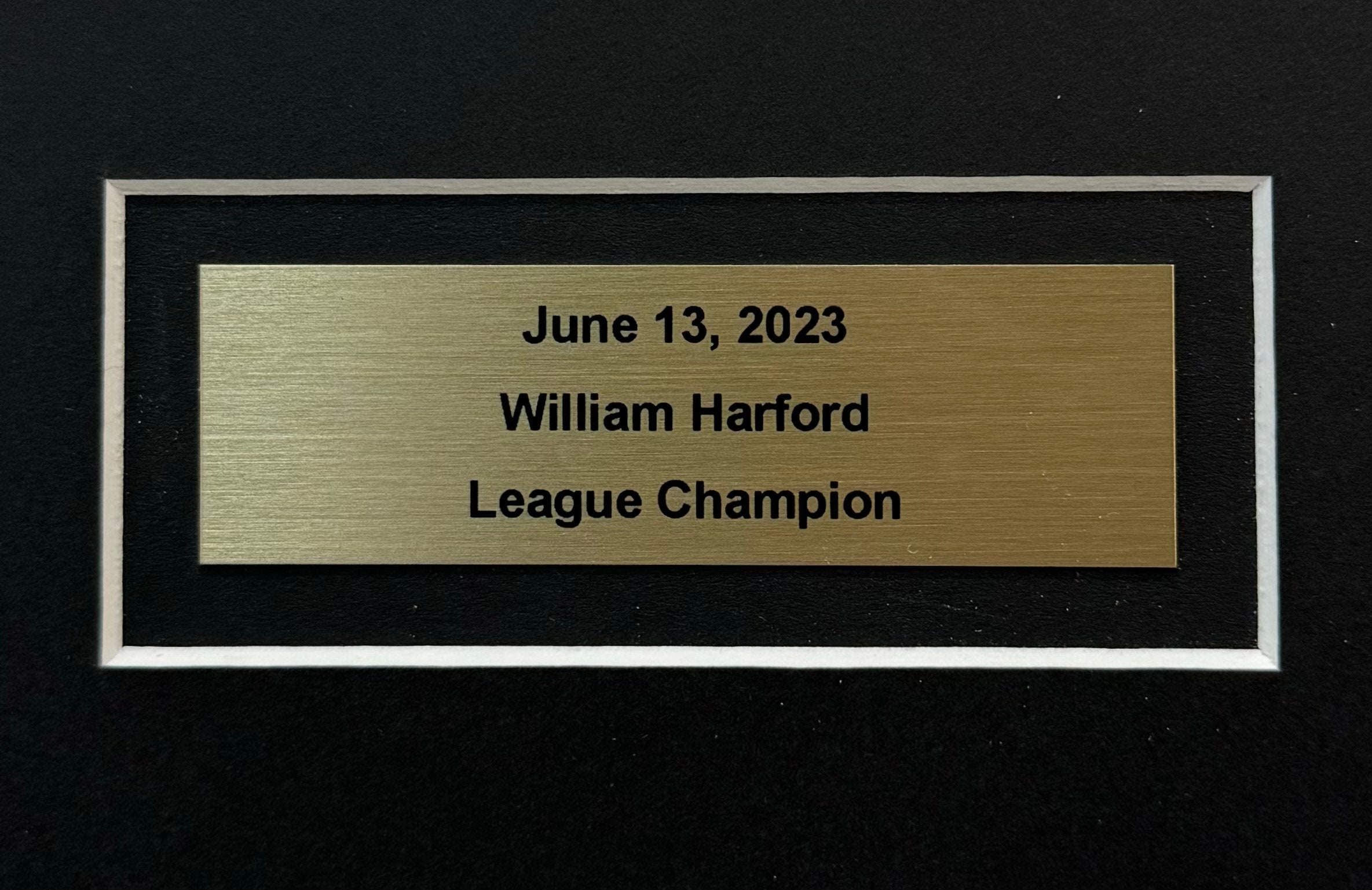 Custom Nameplate/plaque for Picture Framing (matboard Sold Separately ...