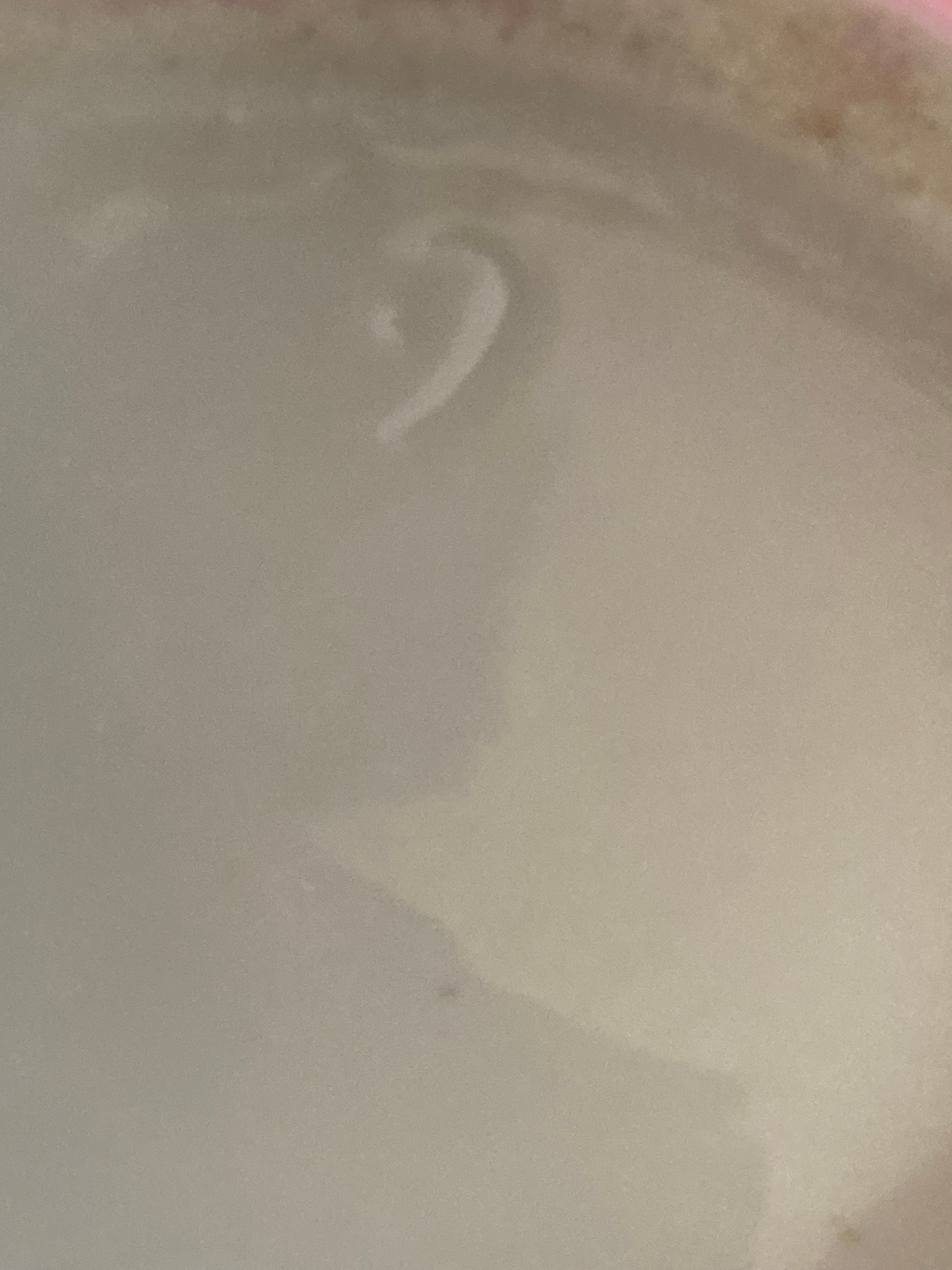 Antique 1800s Victorian Portrait Syrup Pitcher Hand Painted - Etsy