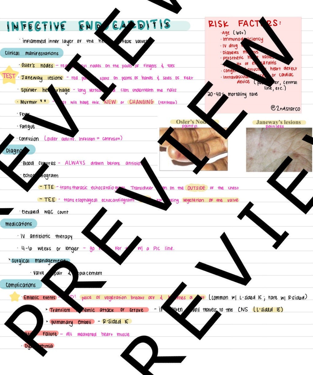 Med Surge Nursing Notes- Cardiac and Blood Disorders - Etsy