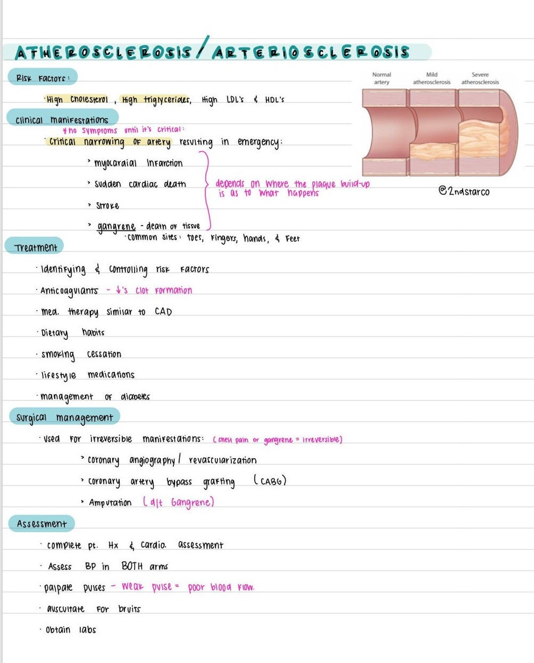 Med Surge Nursing Notes- Cardiac and Blood Disorders - Etsy