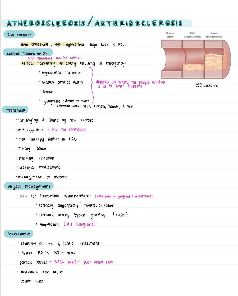 Med Surge Nursing Notes- Cardiac and Blood Disorders - Etsy