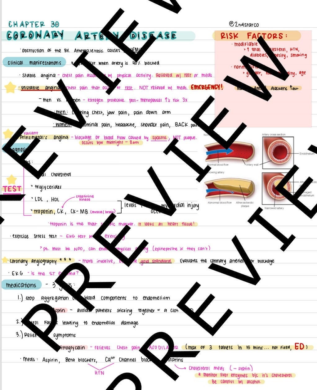 Med Surge Nursing Notes- Cardiac and Blood Disorders - Etsy