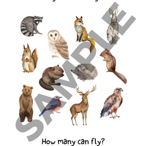 Toddler Morning Menu, Printable Morning Activities for 2 & 3-year-olds ...