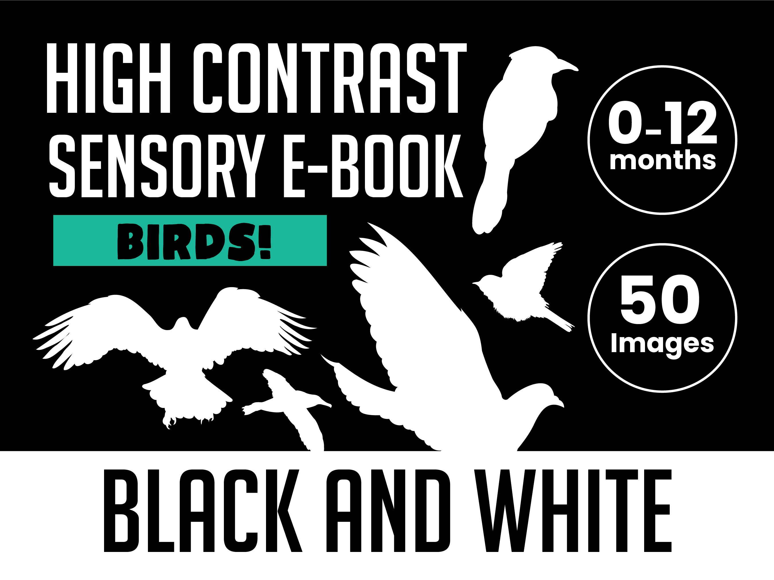 310 Images of High Contrast Sensory for Infant Stimulation - Etsy