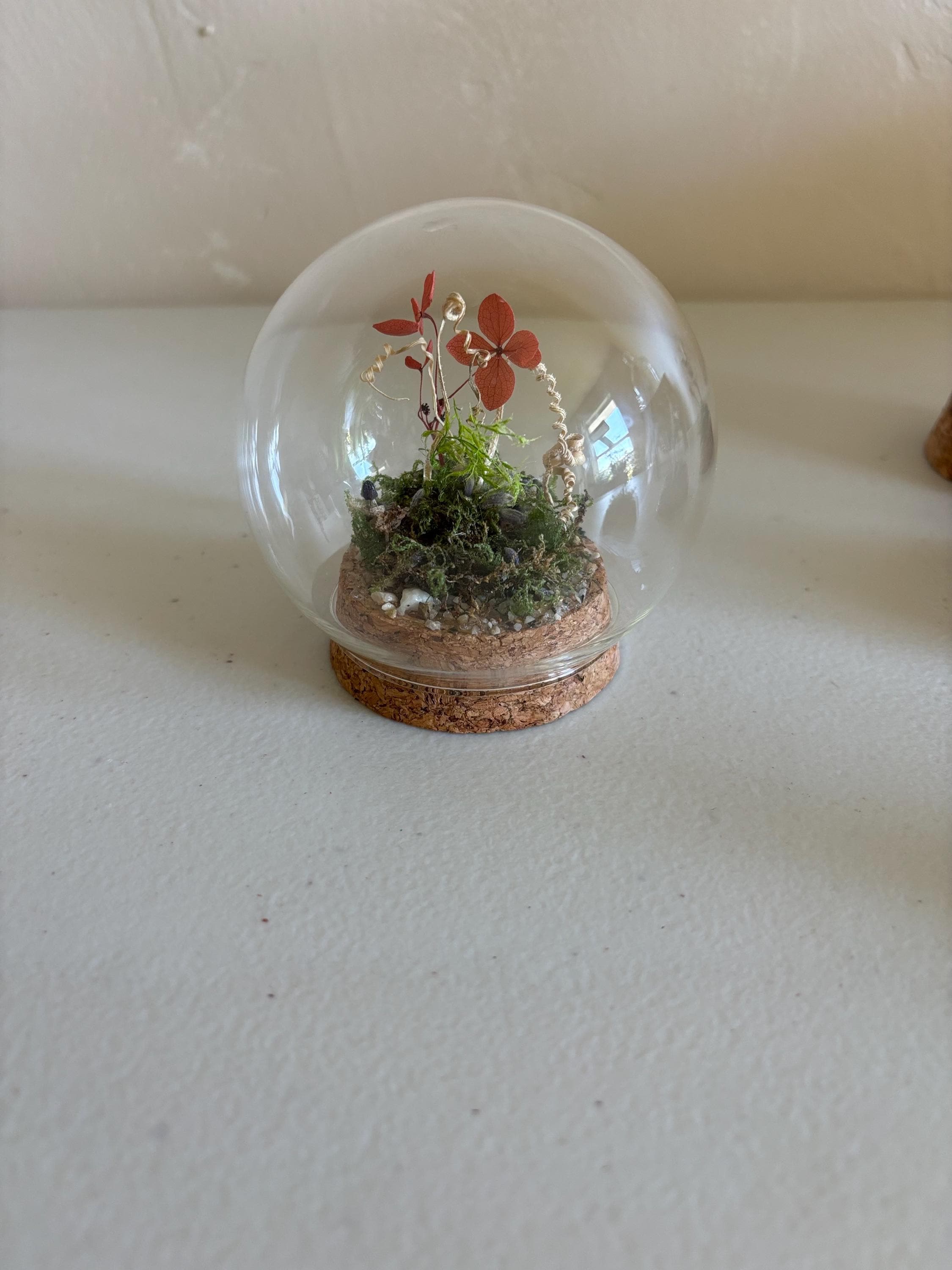 Fairy Bubbles - Etsy