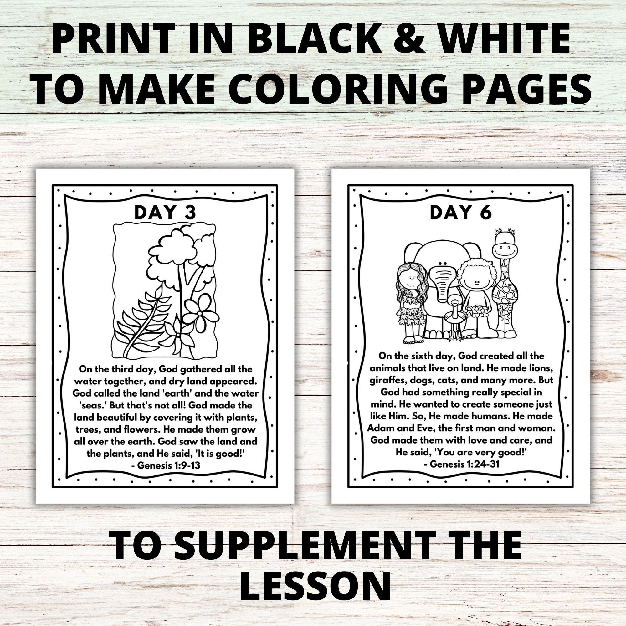 Days of Creation Sunday School Bible Teaching Posters, Printable Kids ...