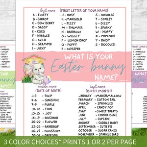 What's Your Bunny Name, Easter Bunny Name Game for Kids and Adults ...