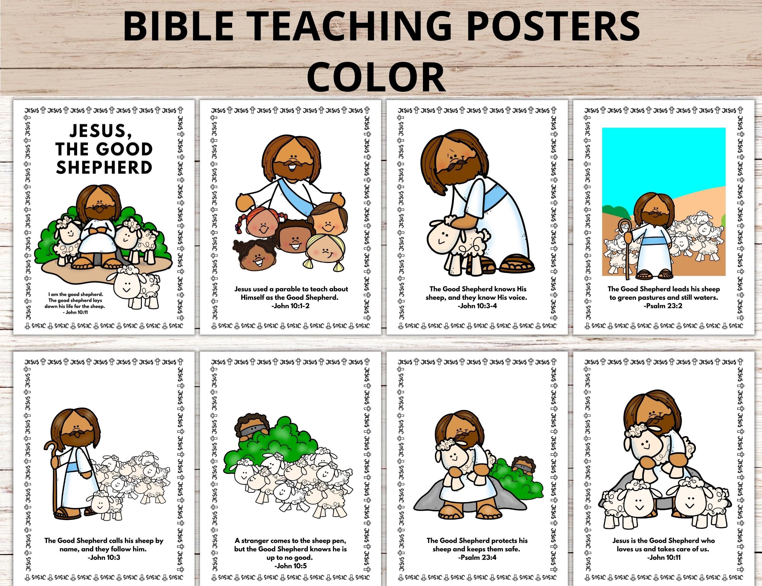 The Good Shepherd Bible Activity Pages, John 10 Bible Teaching Posters ...
