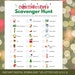 Christmas Lights Scavenger Hunt Activity for Kids, Printable Holiday ...