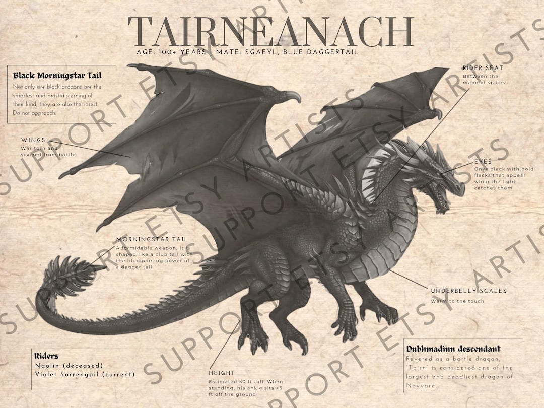Fourth Wing Dragon Anatomy Poster - 18x24 Digital Download; Tairn ...