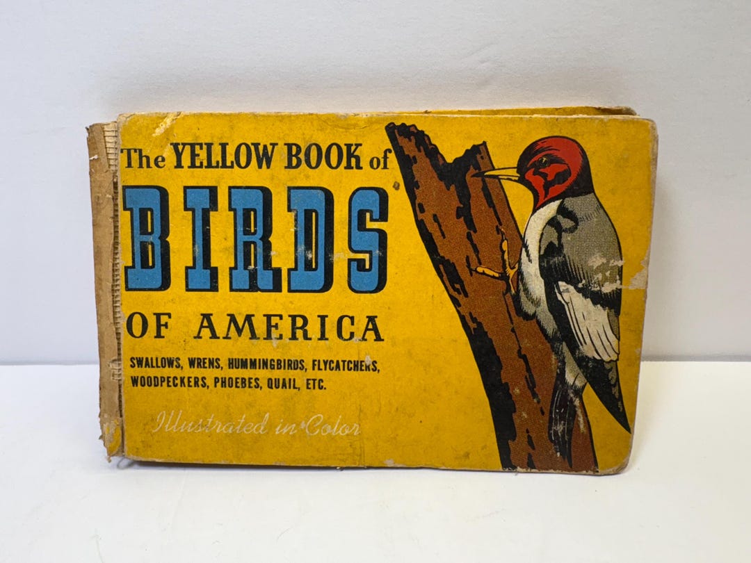 Yellow Book of Birds Pocket Book 1941 Color Illustrations - Etsy