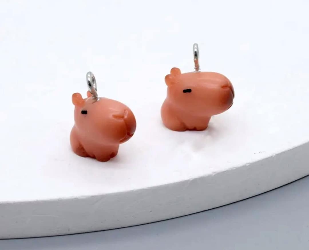 3 - Capybara 3D Resin Charms #3635 - Etsy
