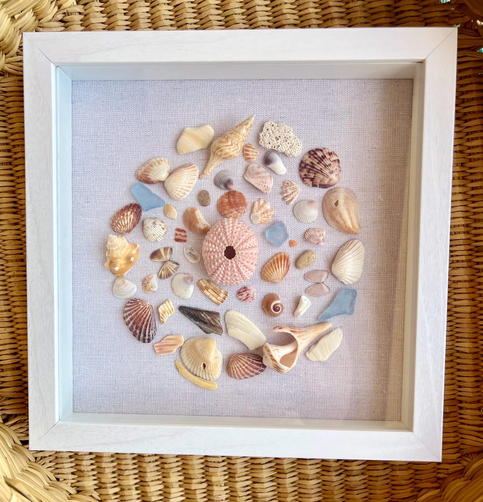 Seashells Wall Art, Beach House Decor, Shadow Box Display, Beach House ...