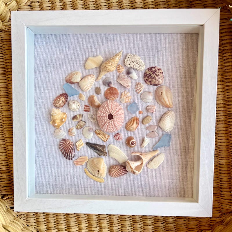 Shell Art Shadow Box - Etsy