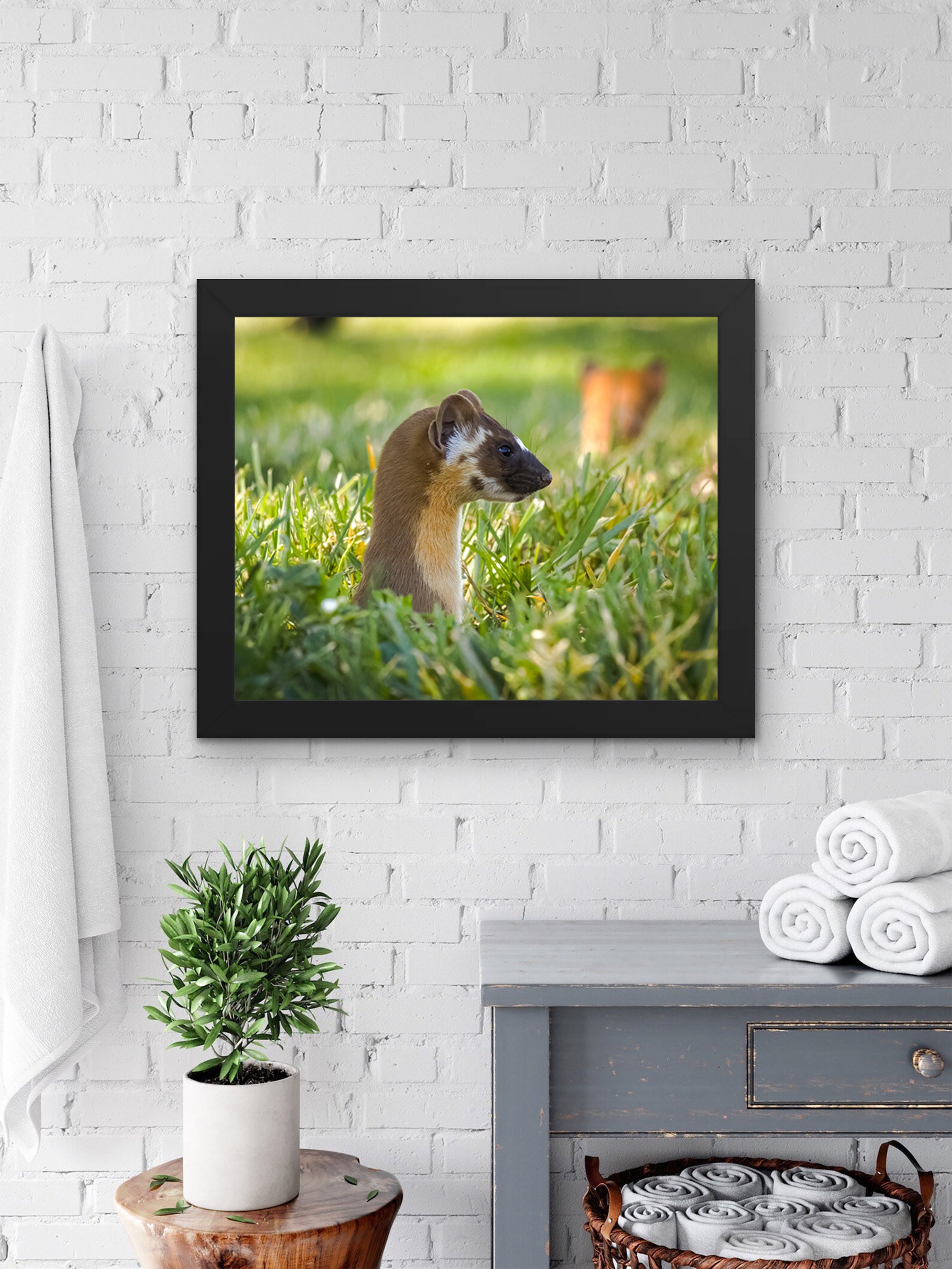 Long-tailed Weasels - Etsy