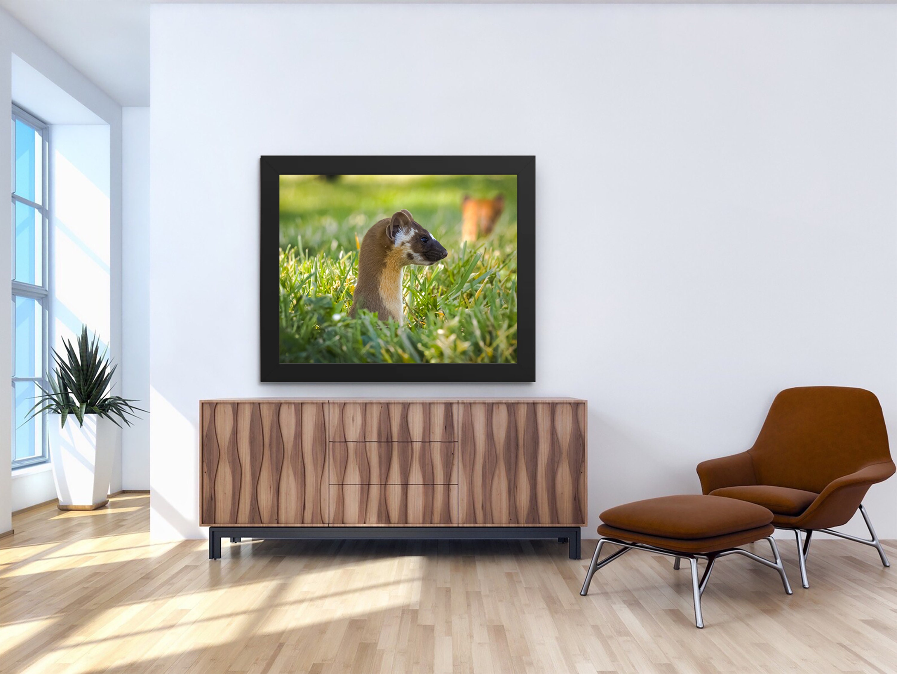 Long-tailed Weasels - Etsy