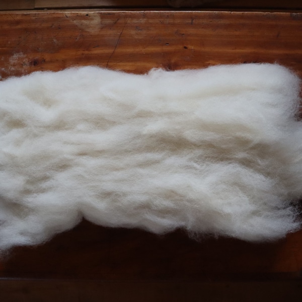 Wool Roving - Etsy Canada