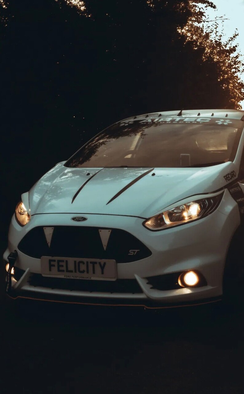 Fiesta ST Mk7.5 Bonnet Stripes - Etsy