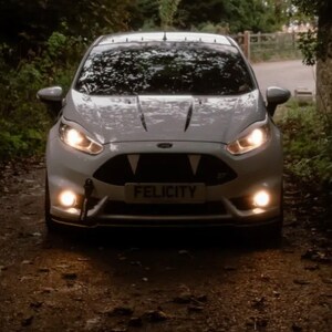 Fiesta ST Mk7.5 Bonnet Stripes - Etsy