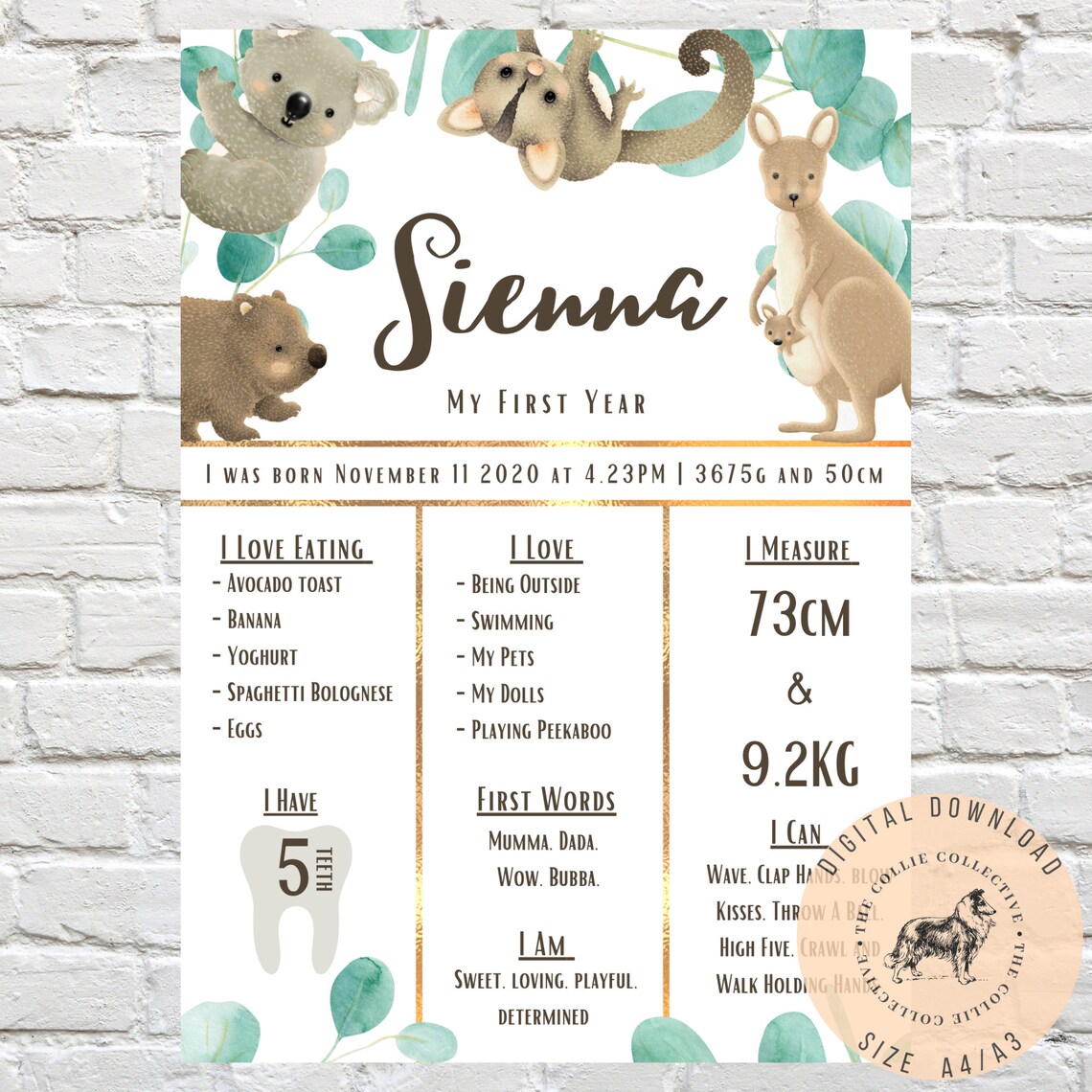 Australian Animal Themed Birthday Party Digital File Package - Etsy