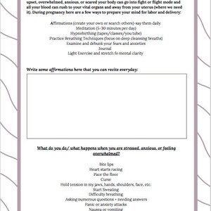 The Ultimate Birth Planning Workbook - Etsy